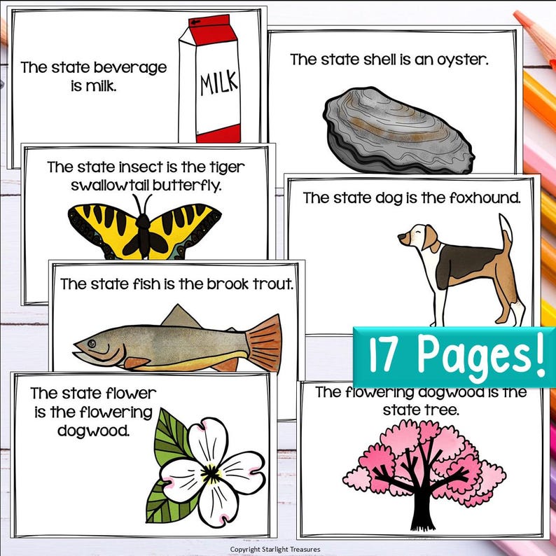 Virginia Mini Book for Early Readers - A State Study - Etsy