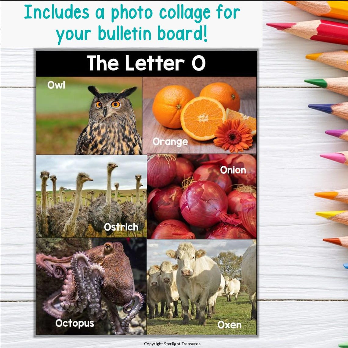 Letter O Mini Book: Alphabet Learning Activity (digital Download) - Etsy