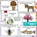Missouri Mini Book for Early Readers - A State Study - Etsy