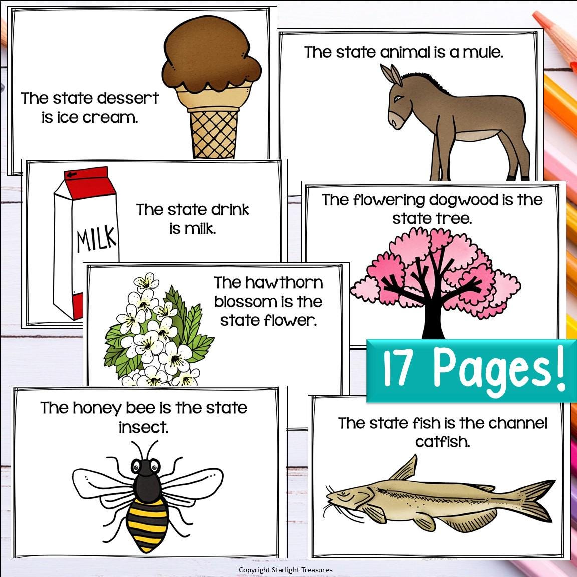 Missouri Mini Book for Early Readers - A State Study - Etsy