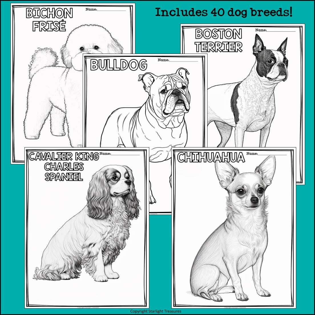 Dog Breeds Research Posters, Coloring Pages Animal Research Project for ...