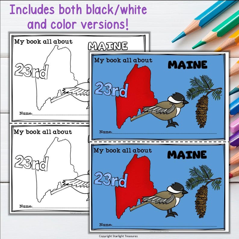 Maine Mini Book for Early Readers - A State Study - Etsy