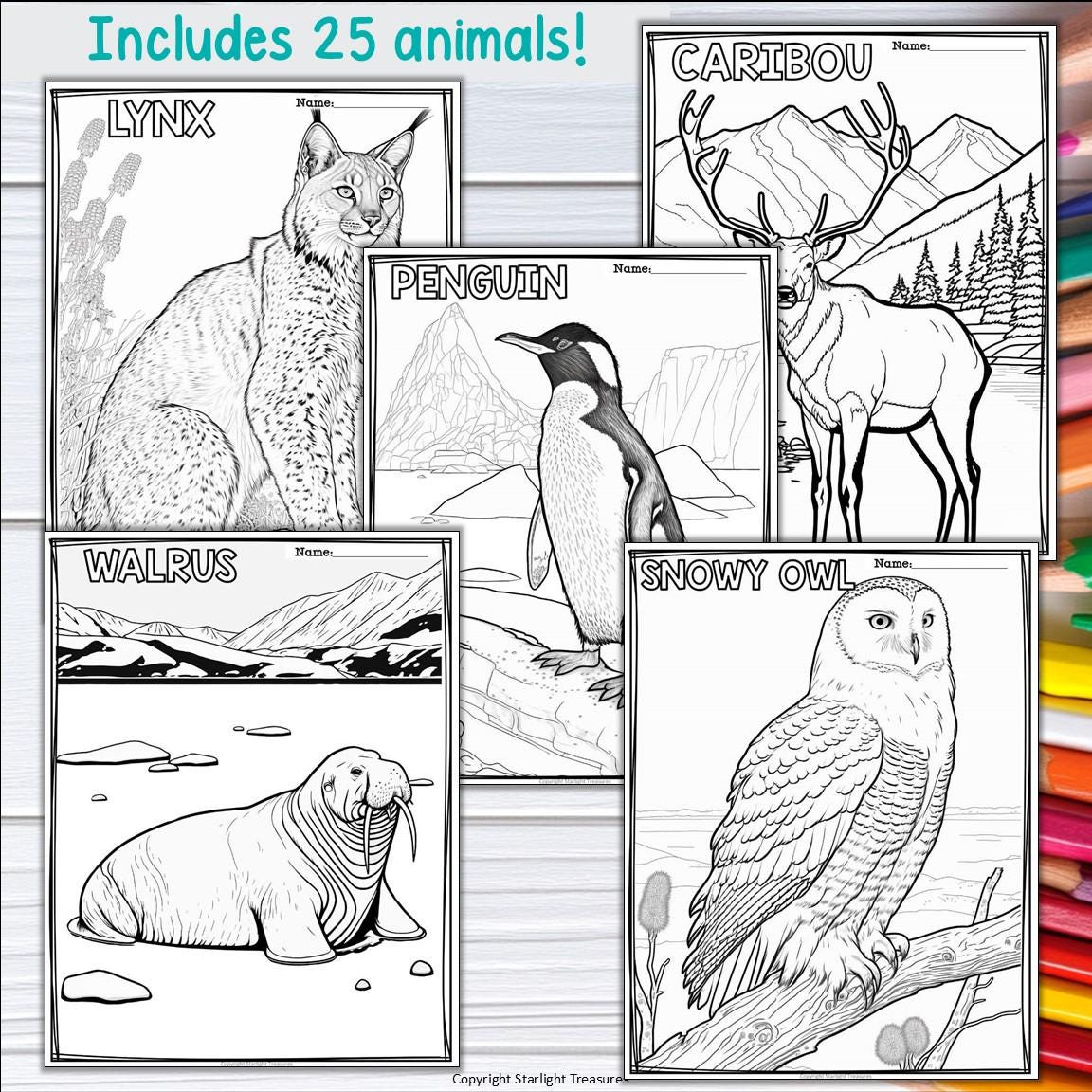 Arctic Animals Research Posters, Coloring Pages - Animal Research ...