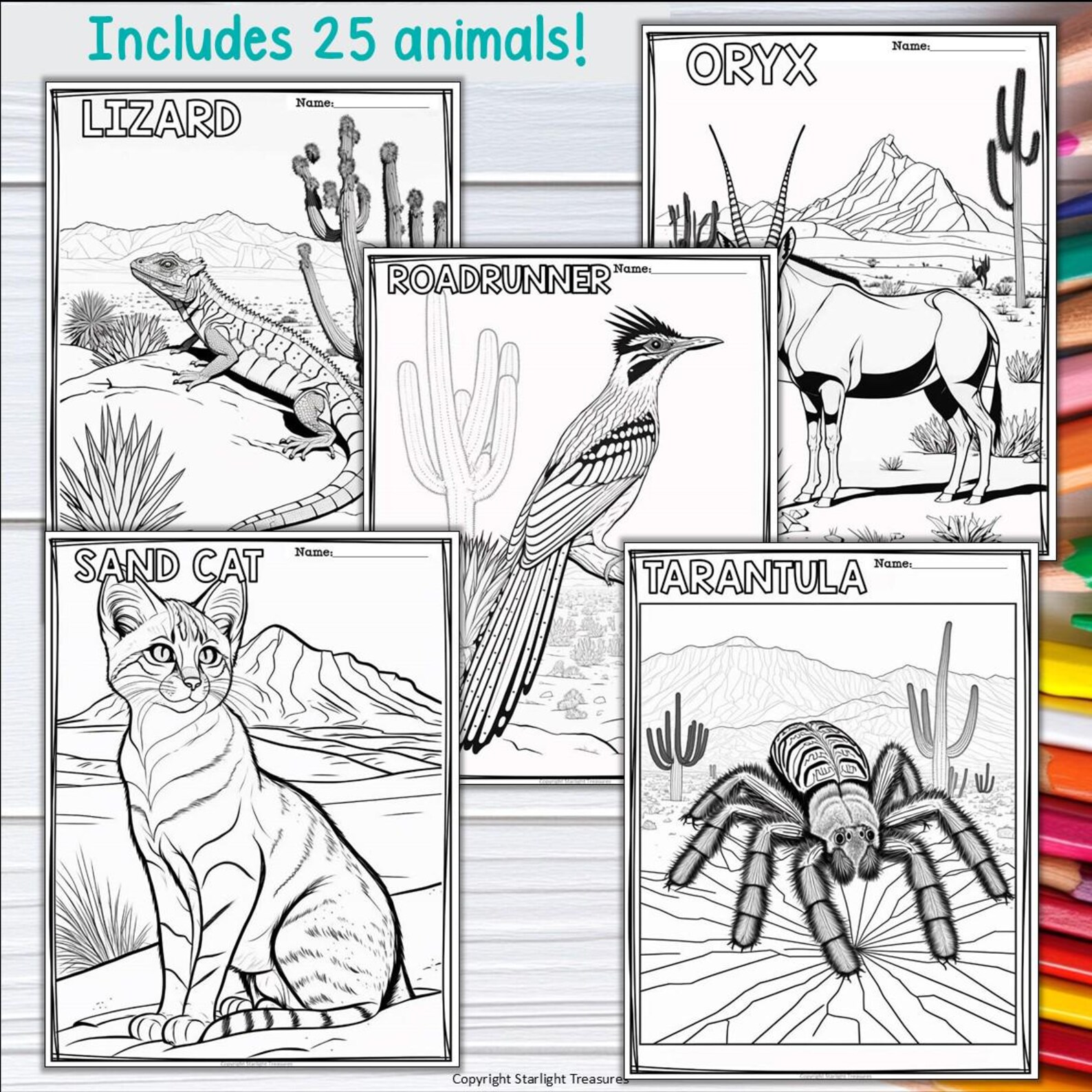 Desert Animals Research Posters, Coloring Pages - Animal Research ...