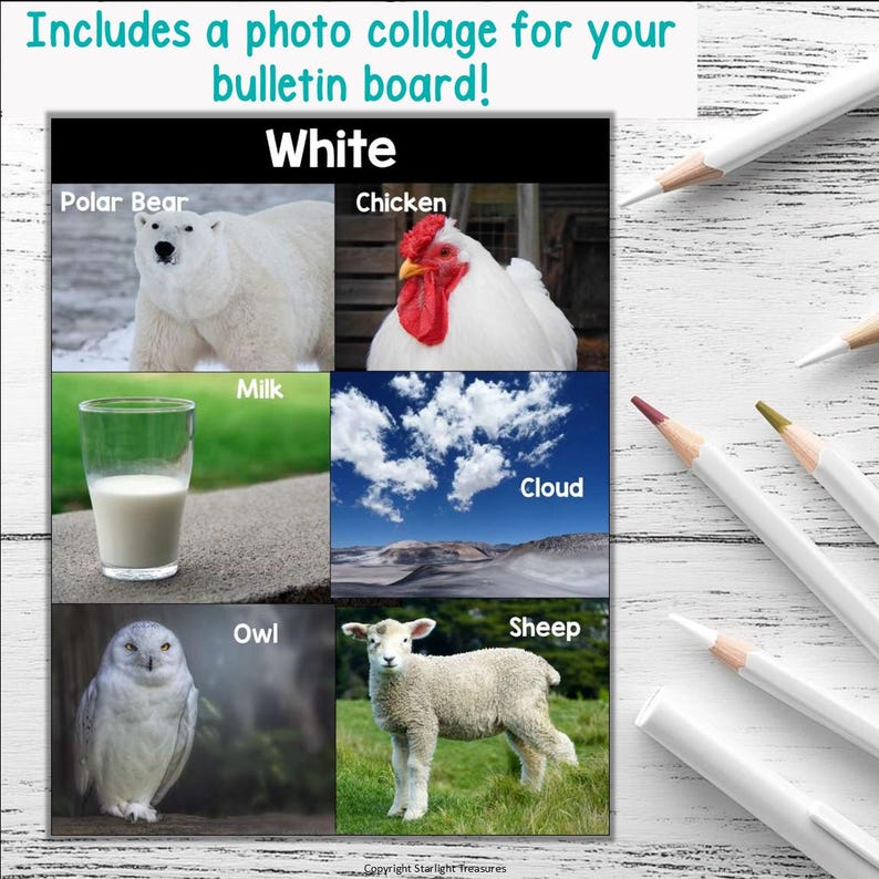 Colors of the Week: White Mini Book for Early Readers - Etsy