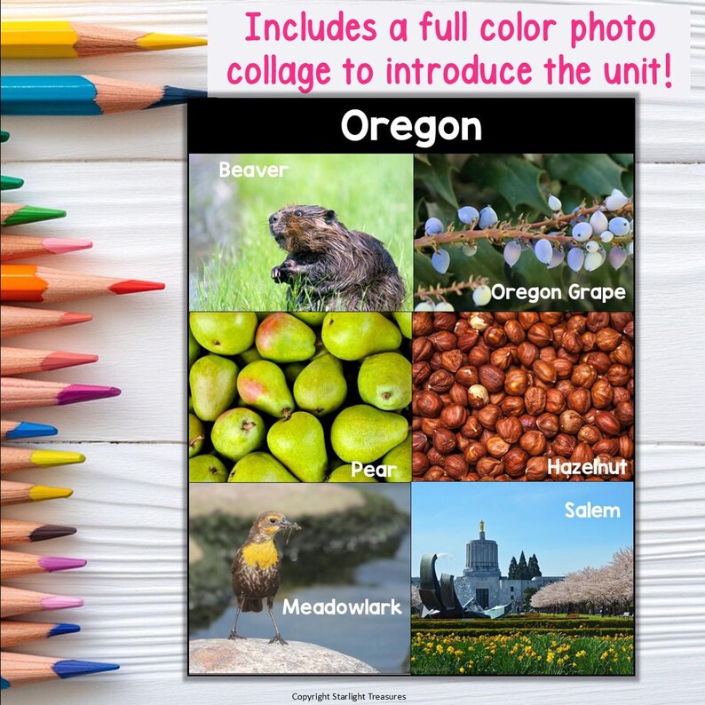 Oregon Mini Book for Early Readers - A State Study - Etsy