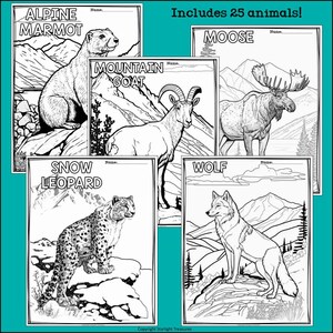 Mountain Animals Research Posters, Coloring Pages Animal Research ...