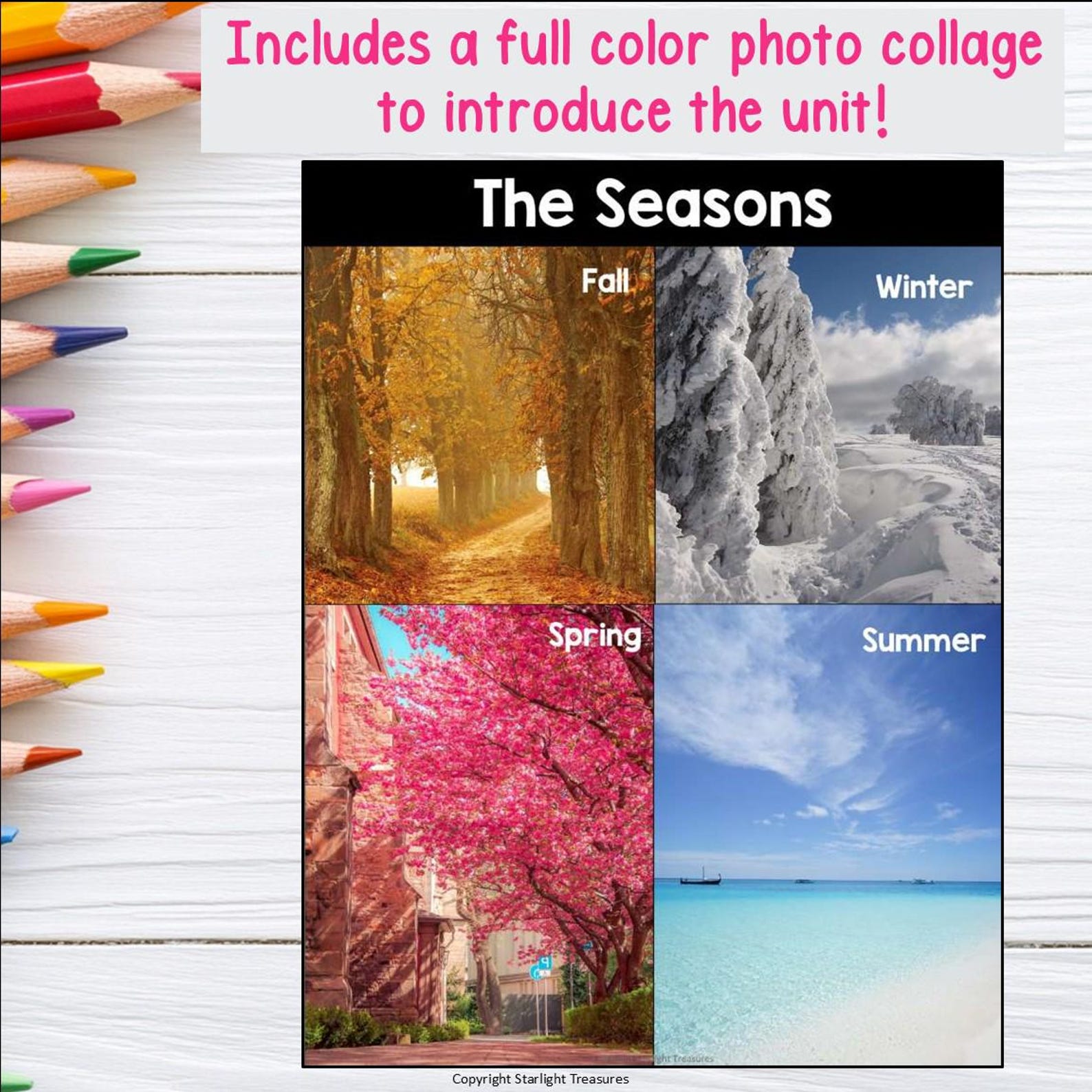 Seasons Mini Book for Early Readers: Four Seasons Activity (digital ...