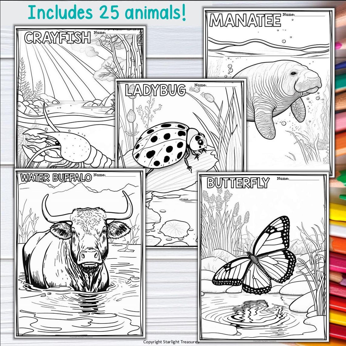 Wetland Animals Research Posters, Coloring Pages - Animal Research ...