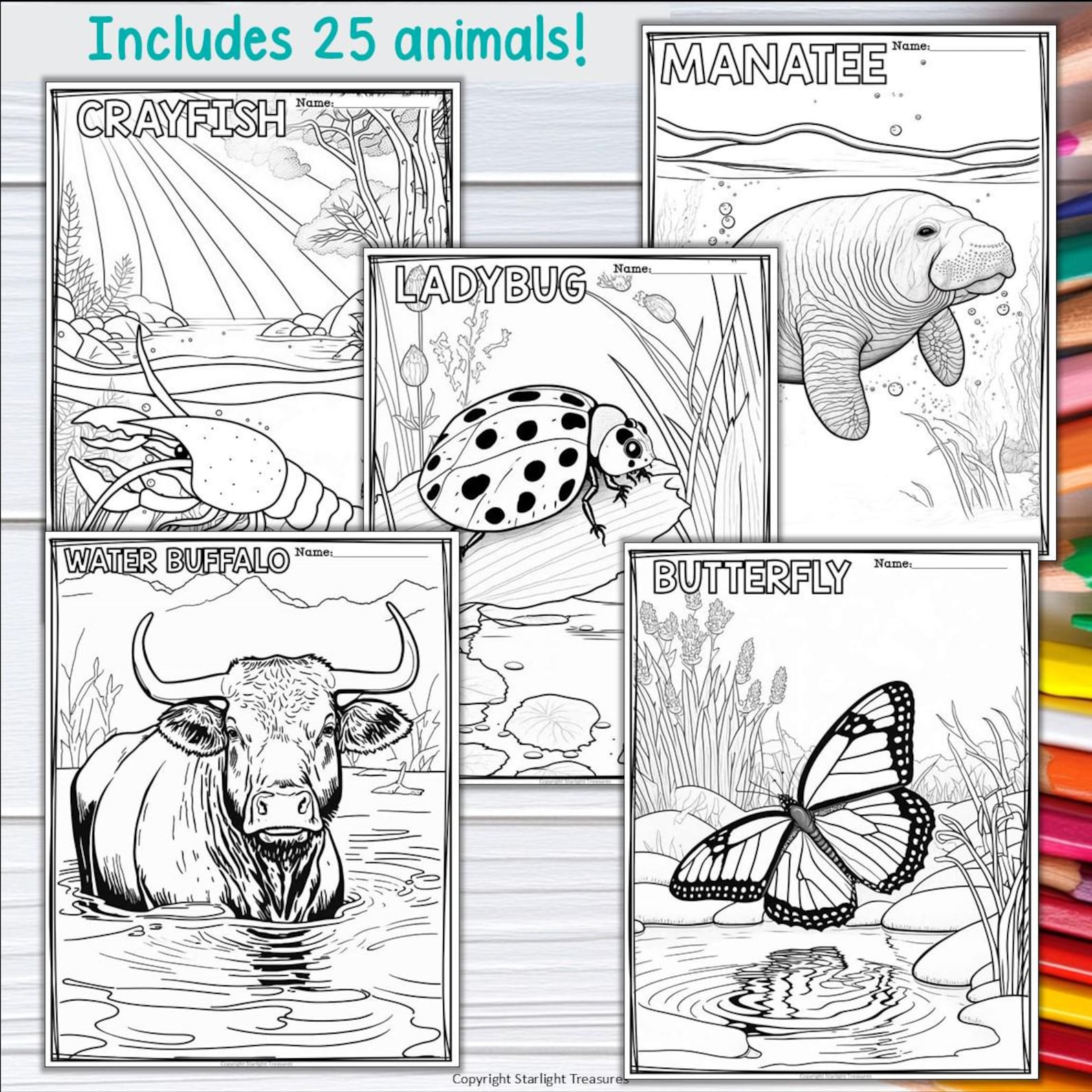 Wetland Animals Research Posters, Coloring Pages - Animal Research ...