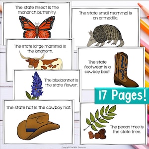 Texas Mini Book for Early Readers - A State Study - Etsy