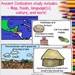 Mayan Mini Book for Early Readers - Ancient Civilizations Activities - Etsy