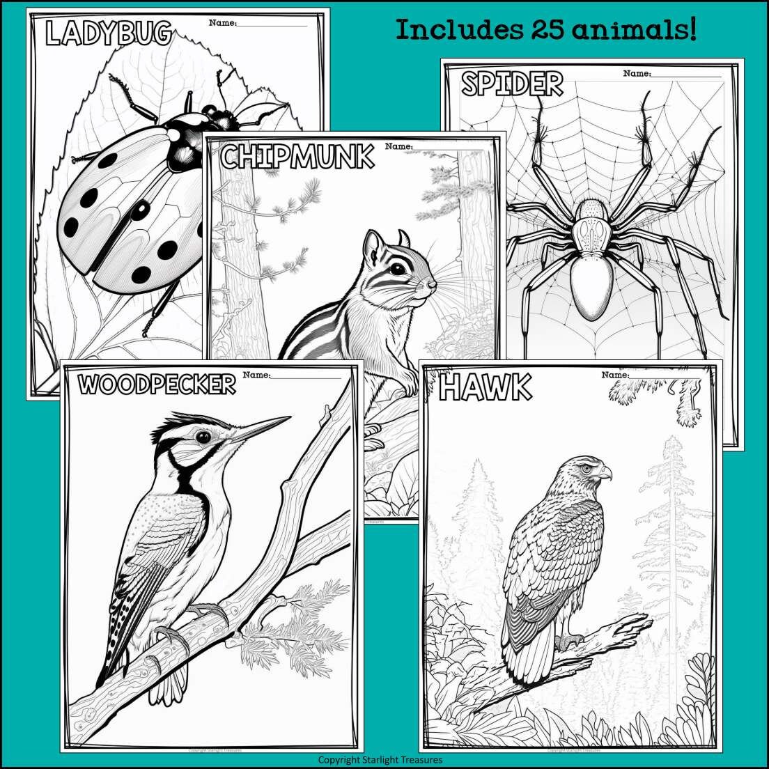 Woodland Animals Research Posters, Coloring Pages Animal Research ...