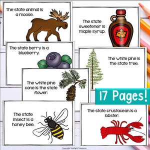 Maine Mini Book for Early Readers - A State Study - Etsy