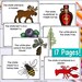 Maine Mini Book for Early Readers - A State Study - Etsy