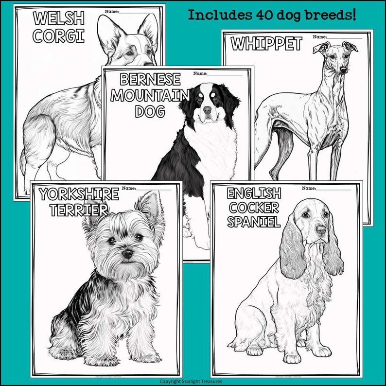 Dog Breeds Research Posters, Coloring Pages Animal Research Project for ...