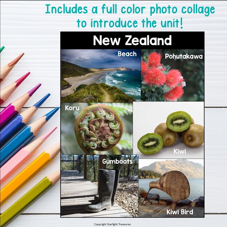 New Zealand Mini Book: Early Reader Activity Study (digital Download ...