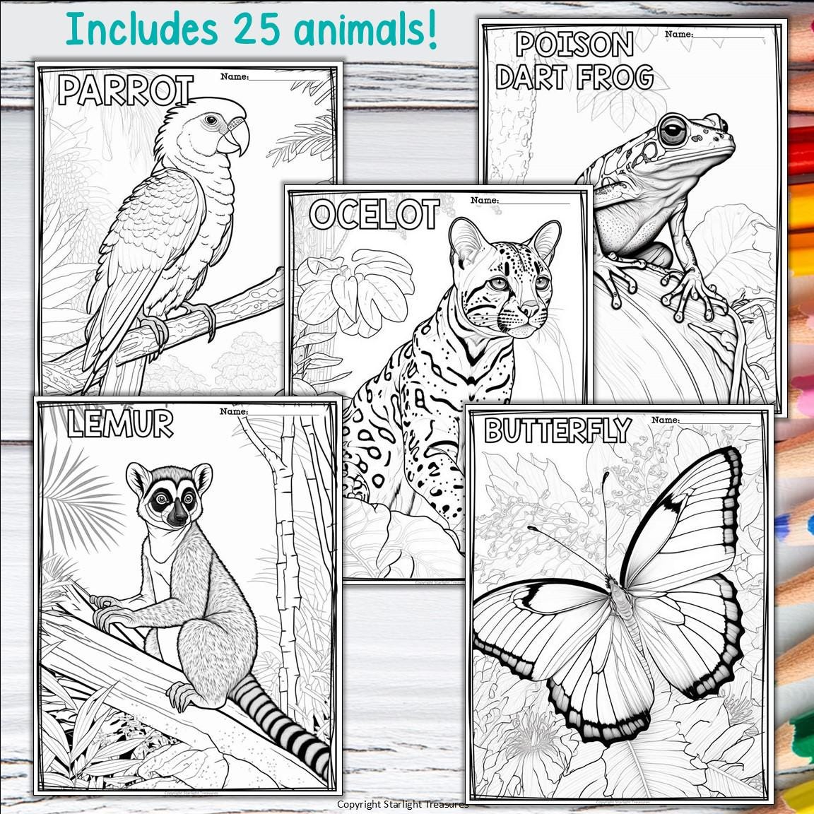 Rainforest Animals Research Posters, Coloring Pages - Animal Research ...