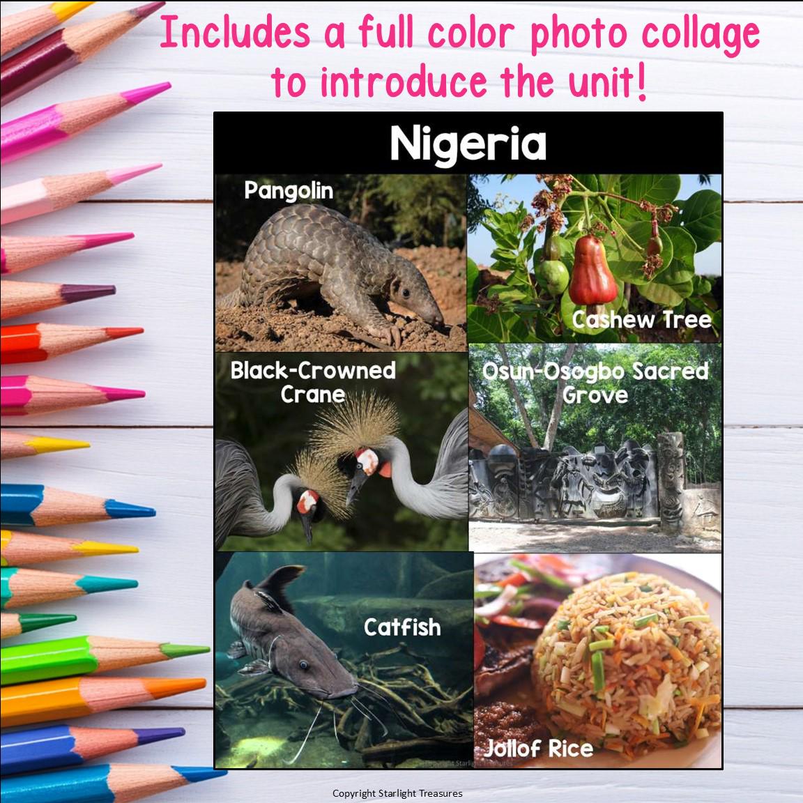 Nigeria Mini Book for Early Readers - A Country Study - Etsy