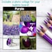 Colors of the Week: Purple Mini Book for Early Readers - Etsy