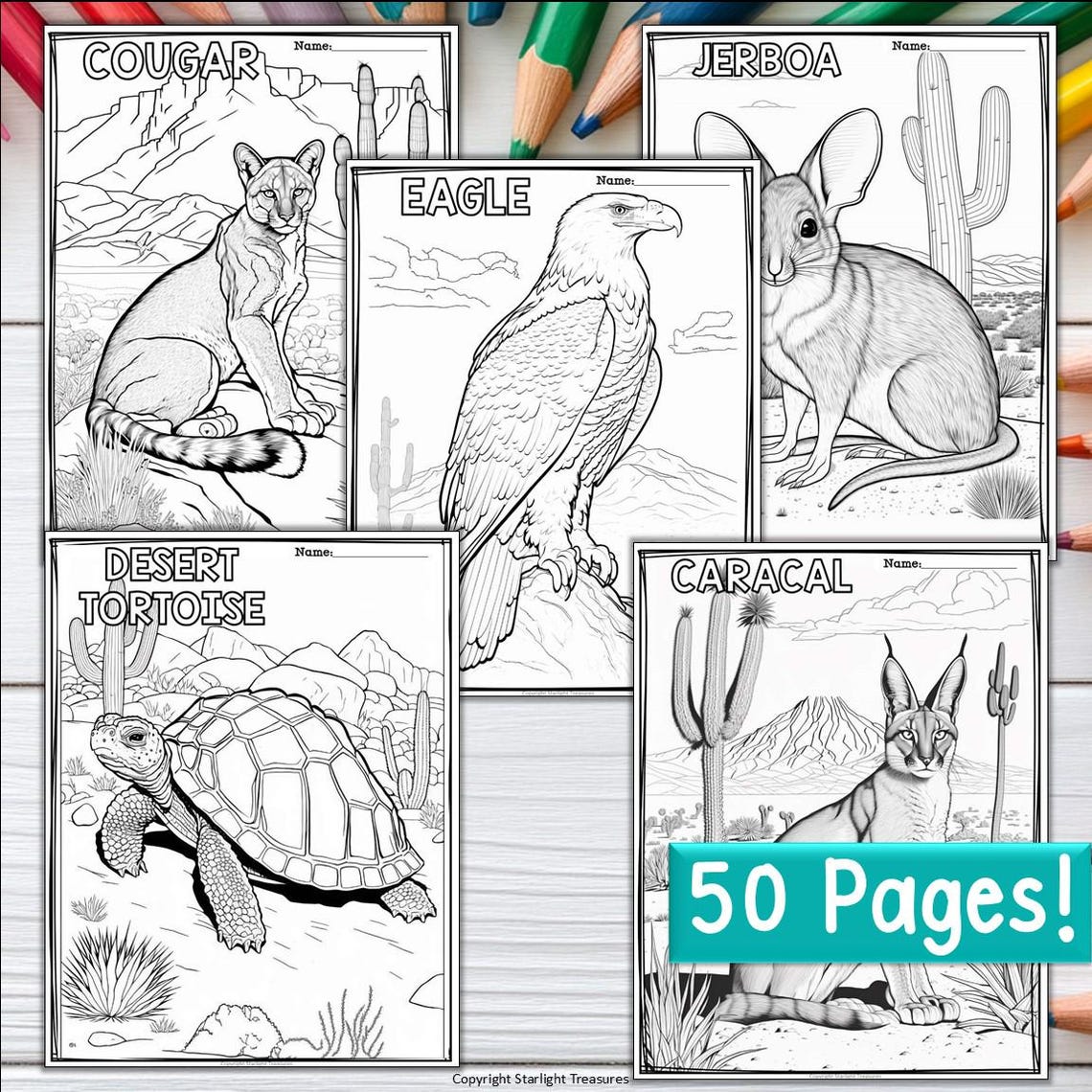 Desert Animals Research Posters, Coloring Pages - Animal Research ...