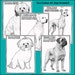 Dog Breeds Research Posters, Coloring Pages Animal Research Project for ...