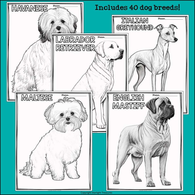 Dog Breeds Research Posters, Coloring Pages Animal Research Project for ...