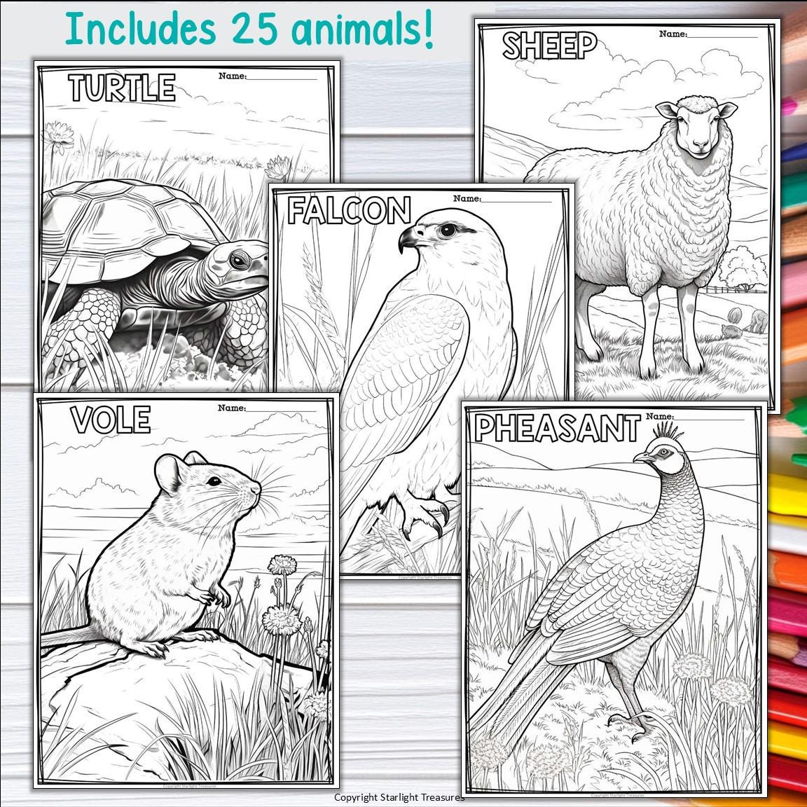 Prairie Animals Research Posters, Coloring Pages - Animal Research ...