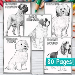 Dog Breeds Research Posters, Coloring Pages - Animal Research Project ...