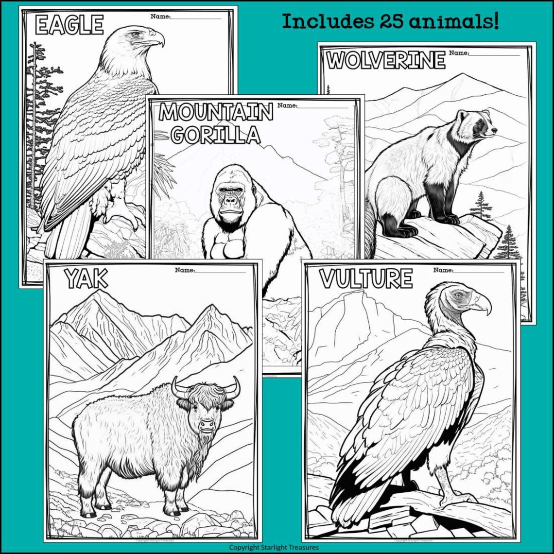 Mountain Animals Research Posters, Coloring Pages Animal Research ...