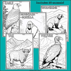 Mountain Animals Research Posters, Coloring Pages Animal Research ...