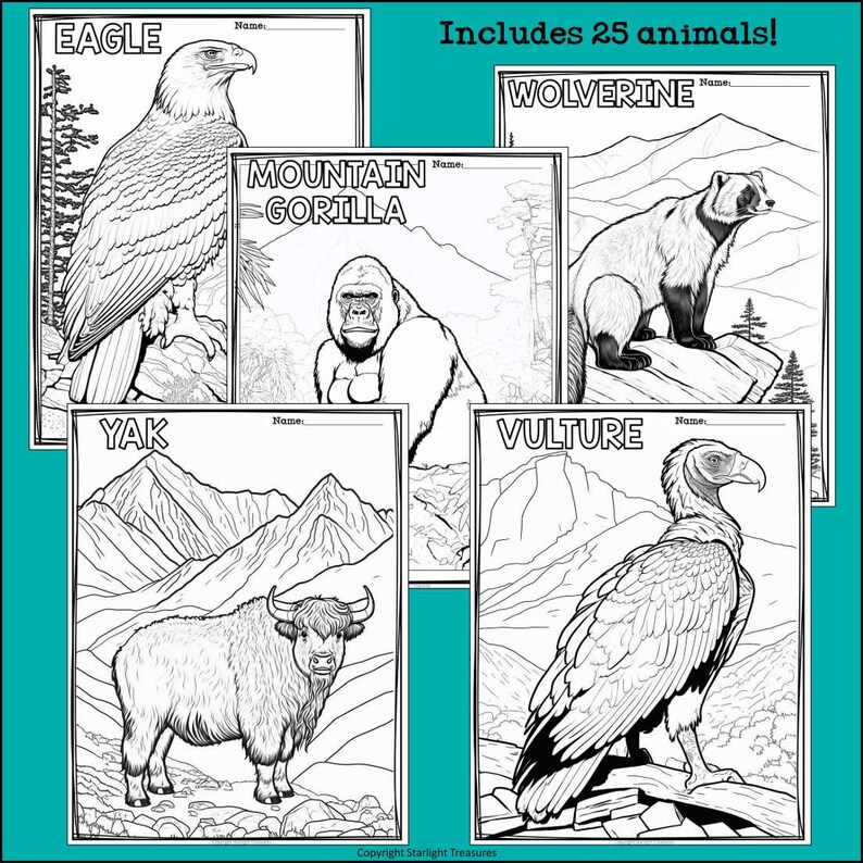 Mountain Animals Research Posters, Coloring Pages Animal Research ...