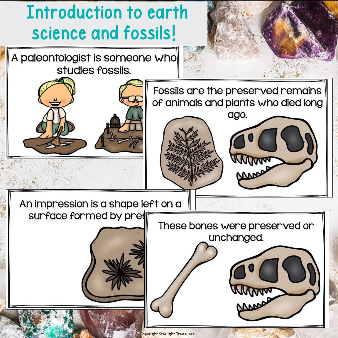 Fossils Mini Book for Early Readers: Fossil Mini Book for Kids - Etsy