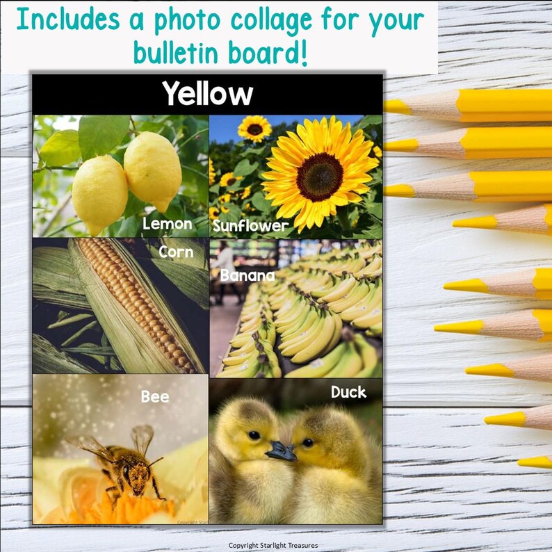 Colors of the Week: Yellow Mini Book for Early Readers - Etsy