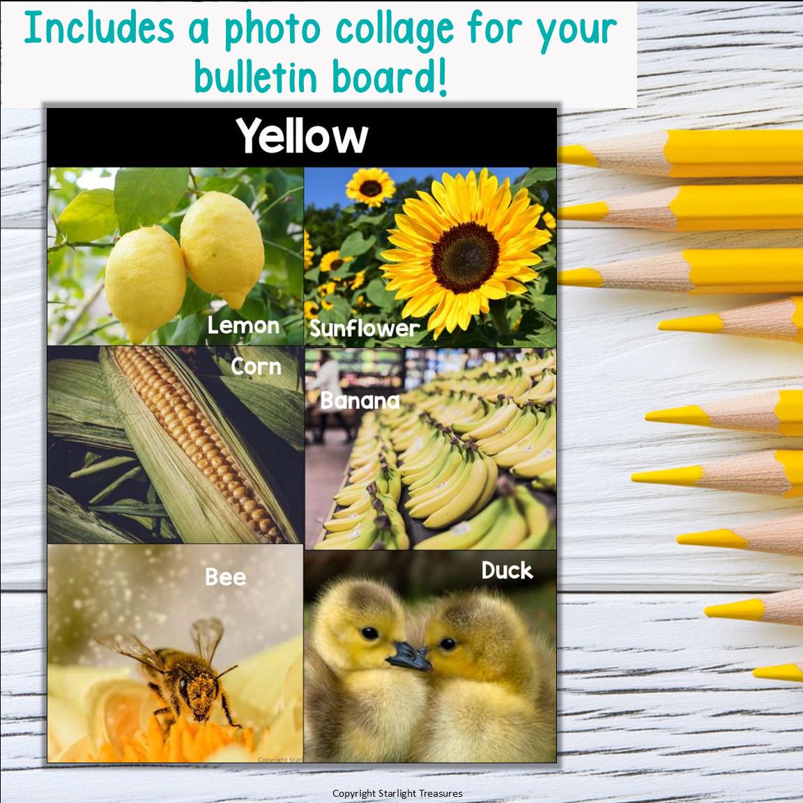 Colors of the Week: Yellow Mini Book for Early Readers - Etsy
