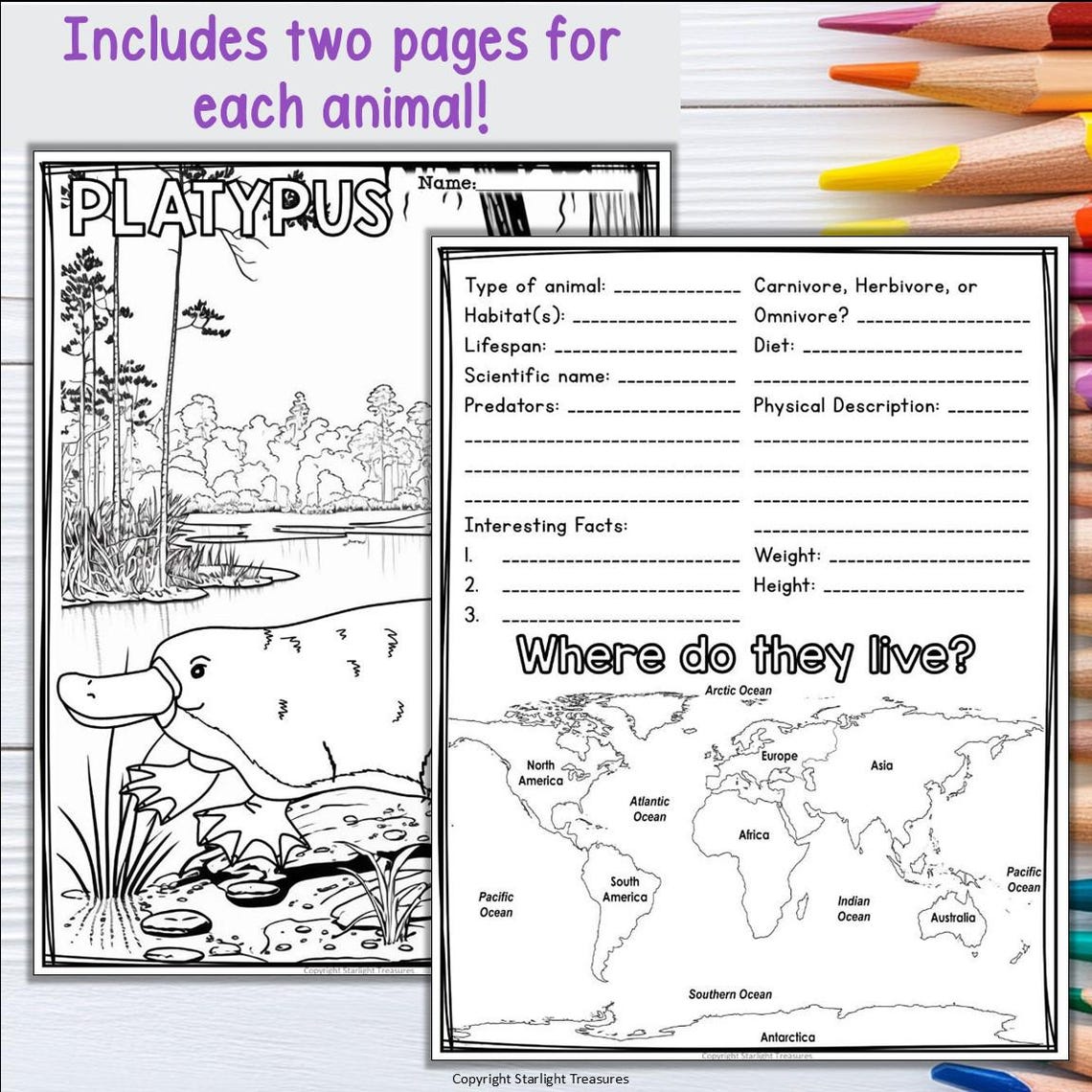 Wetland Animals Research Posters, Coloring Pages - Animal Research ...