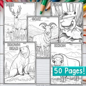 Prairie Animals Research Posters, Coloring Pages - Animal Research ...