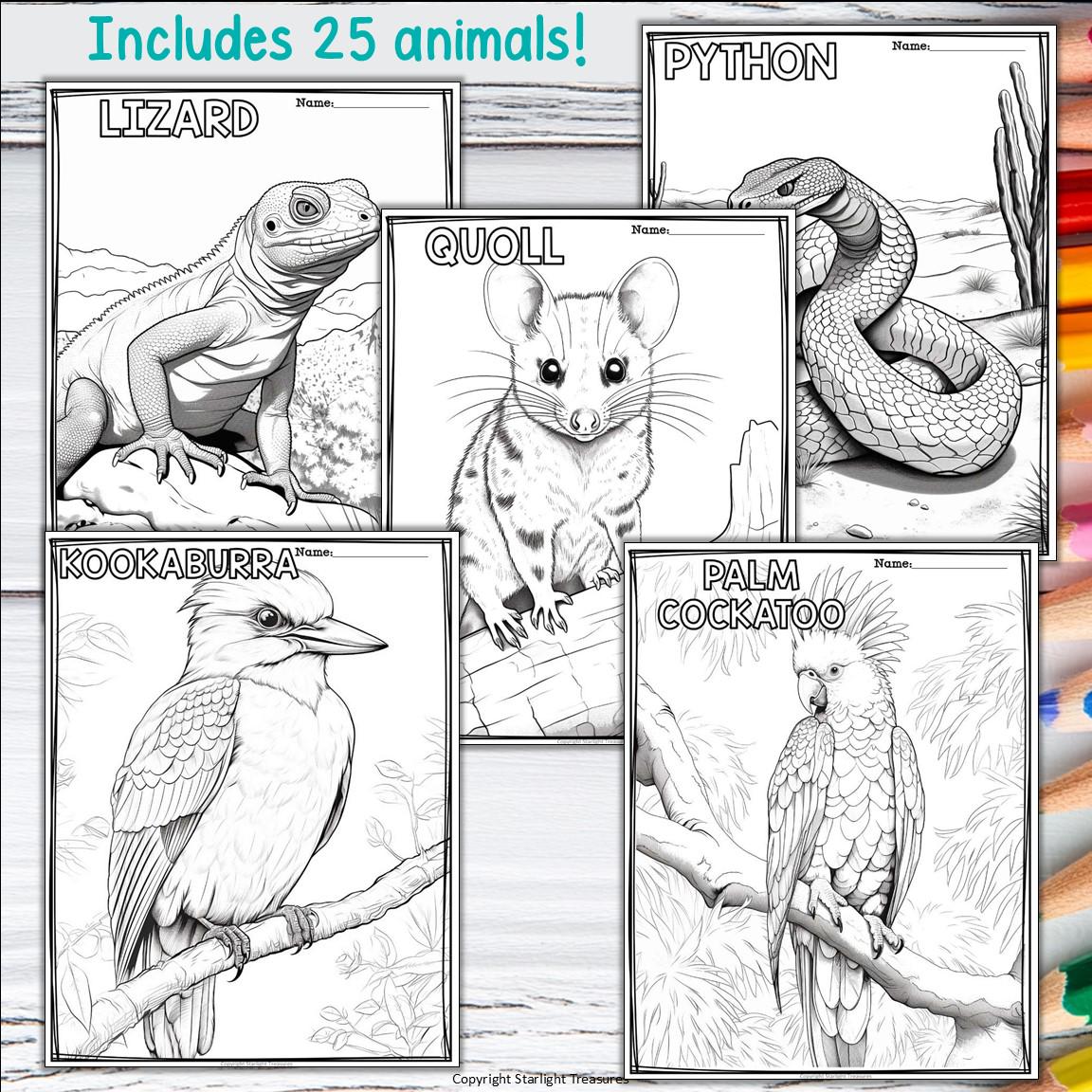 Australian Animals Research Posters, Coloring Pages - Animal Research ...