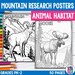 Mountain Animals Research Posters, Coloring Pages - Animal Research ...