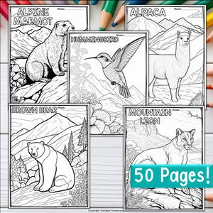 Mountain Animals Research Posters, Coloring Pages - Animal Research ...