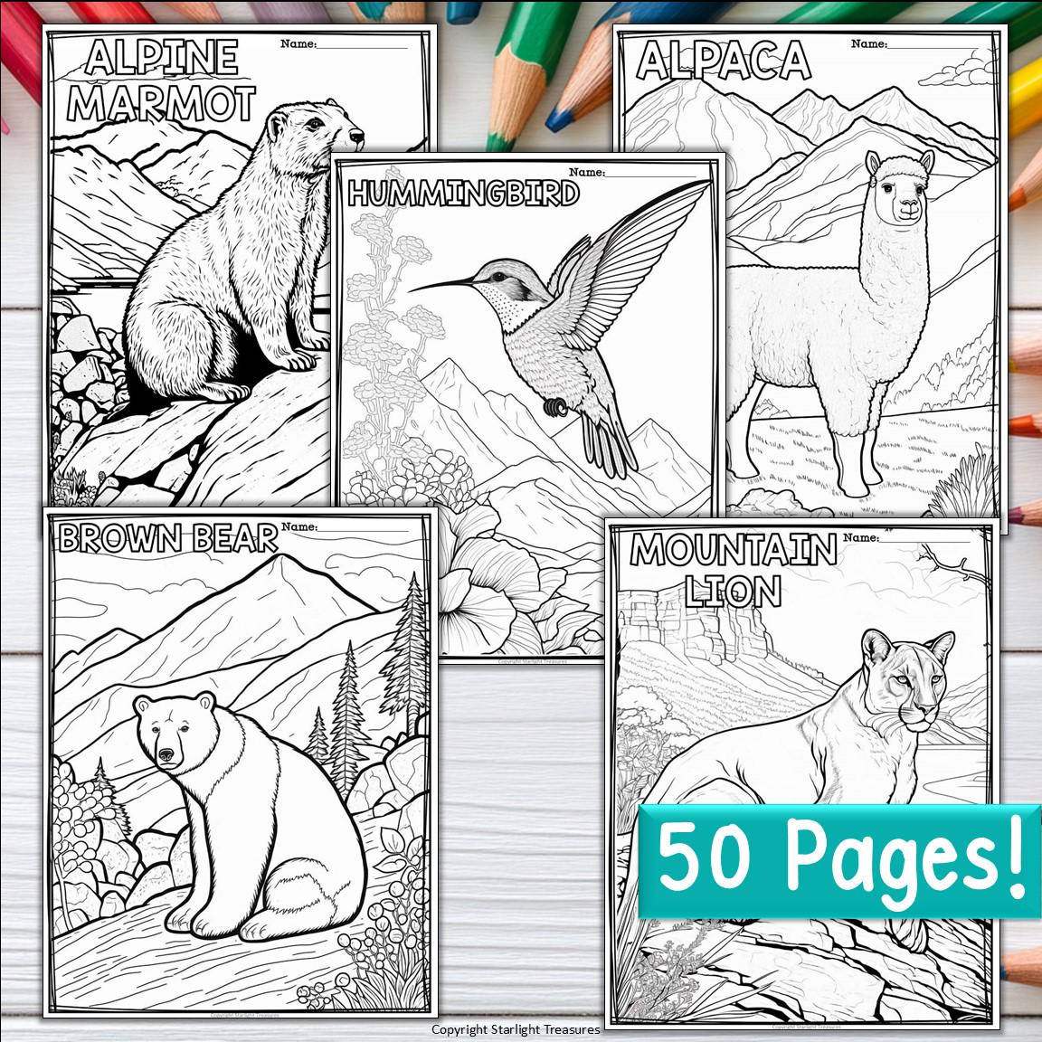Mountain Animals Research Posters, Coloring Pages - Animal Research ...