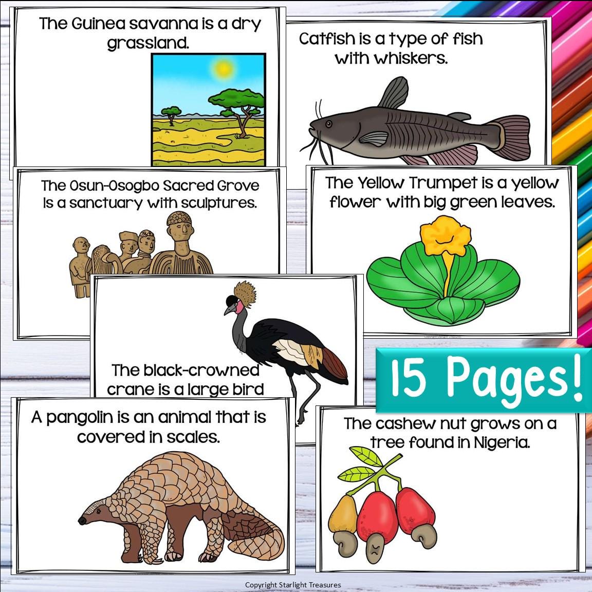 Nigeria Mini Book for Early Readers - A Country Study - Etsy