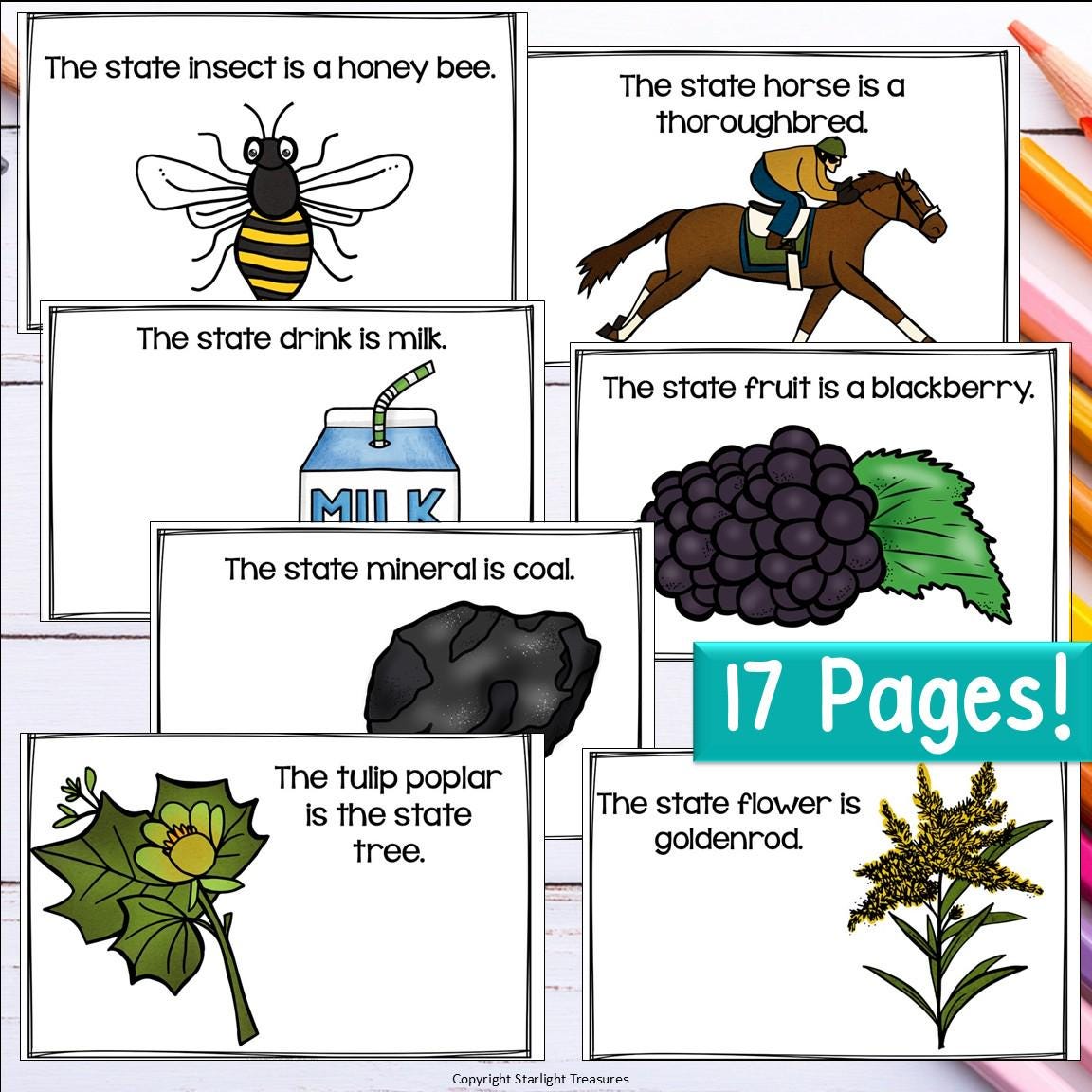 Kentucky Mini Book for Early Readers - A State Study - Etsy