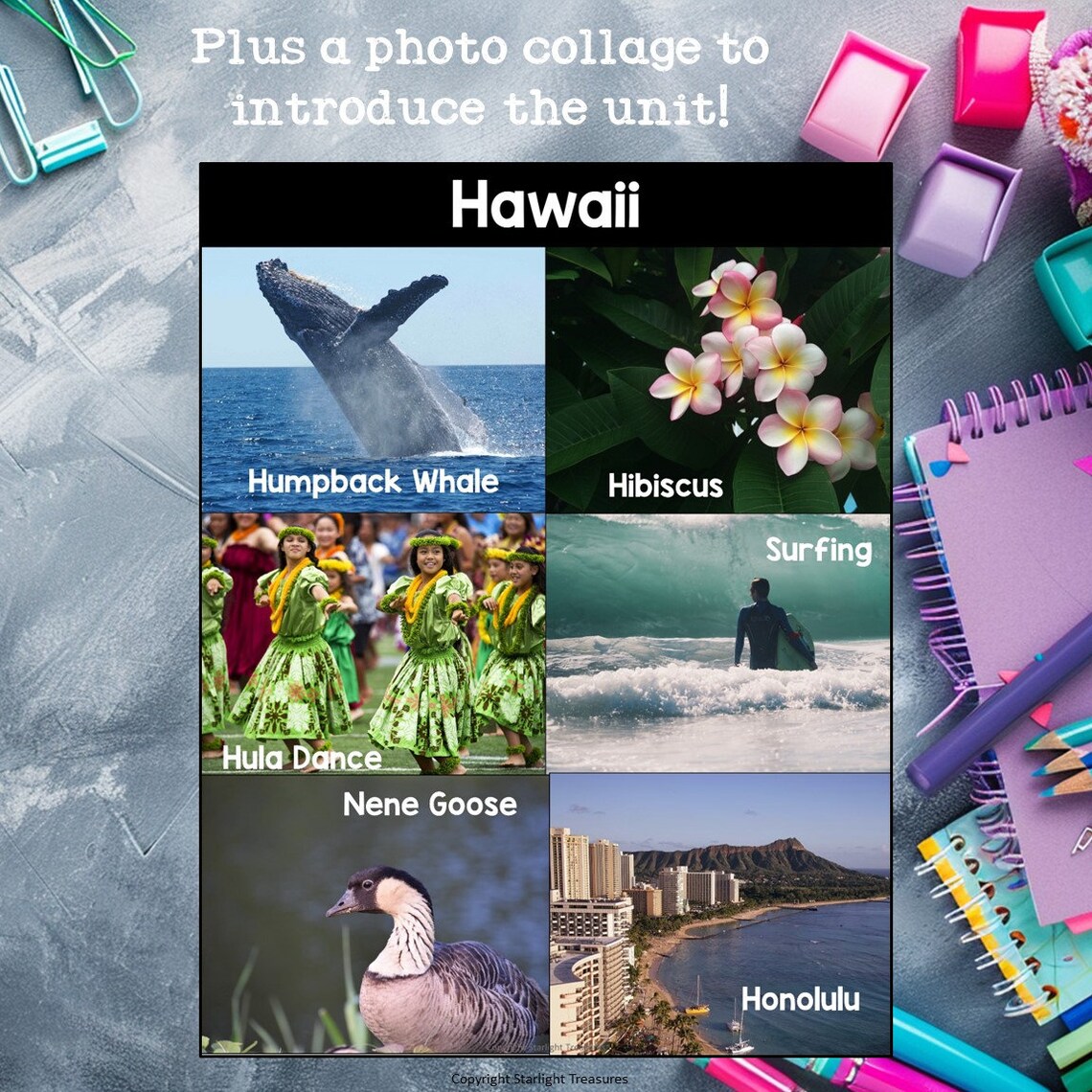 Hawaii Mini Book for Early Readers A State Study - Etsy