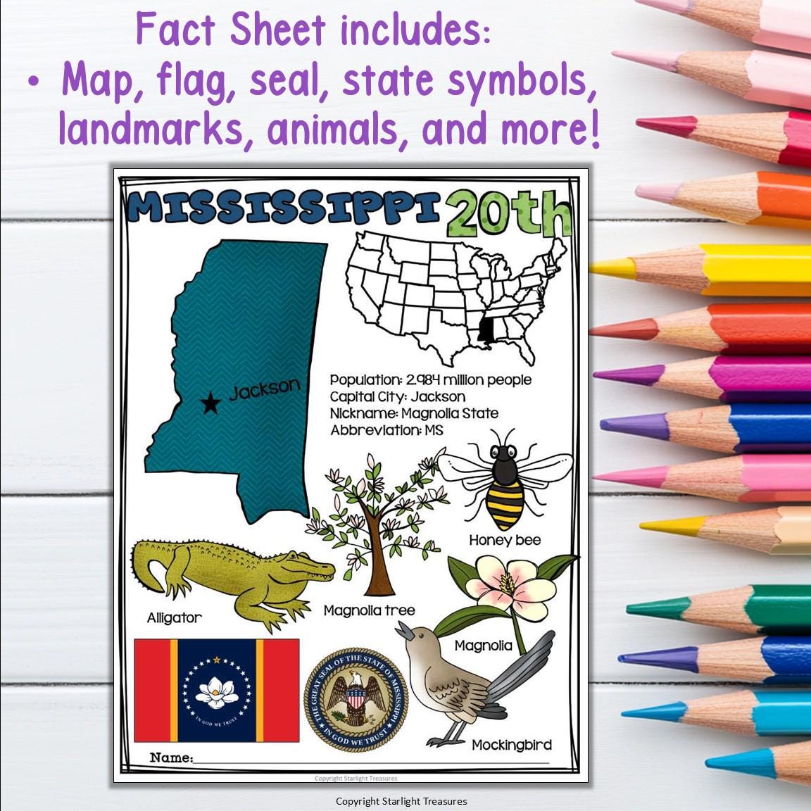 Mississippi Fact Sheet for Early Readers - A State Study Activity Unit ...
