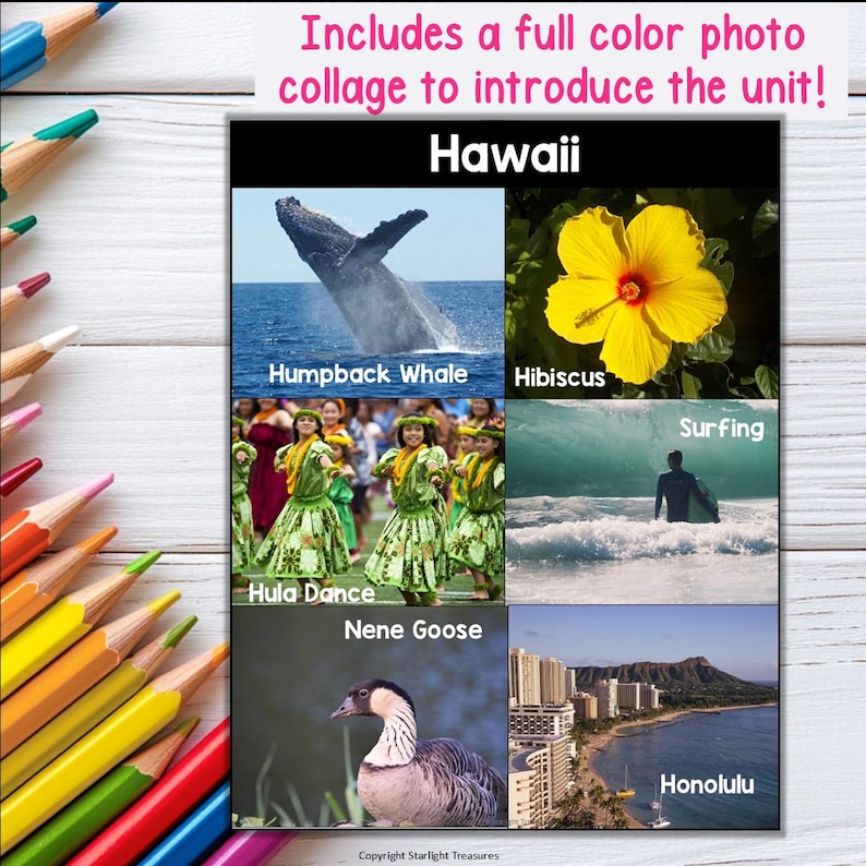 Hawaii Mini Book for Early Readers - A State Study - Etsy