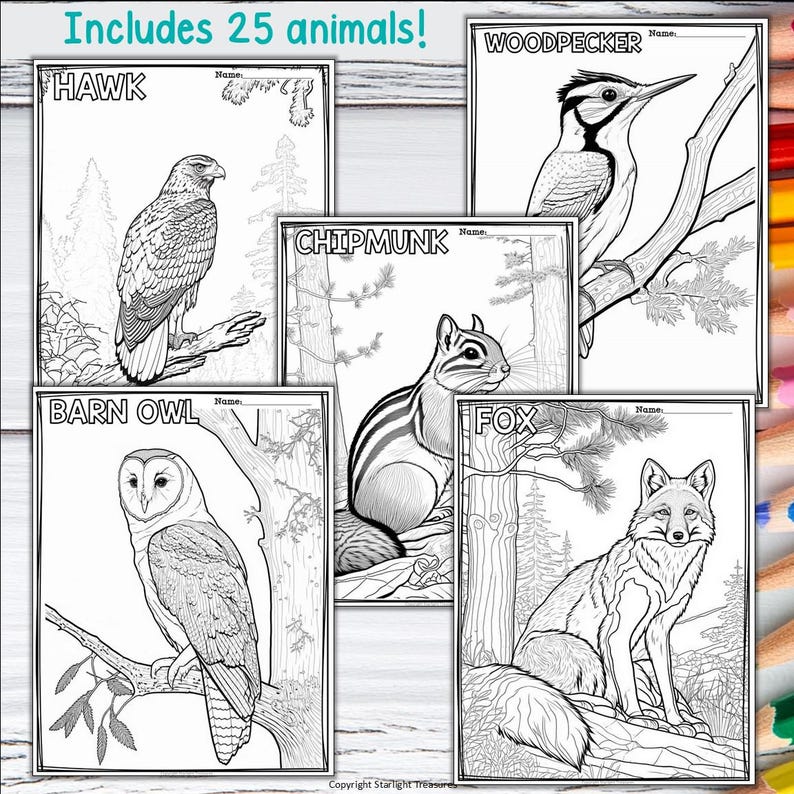 Woodland Animals Research Posters, Coloring Pages - Animal Research ...