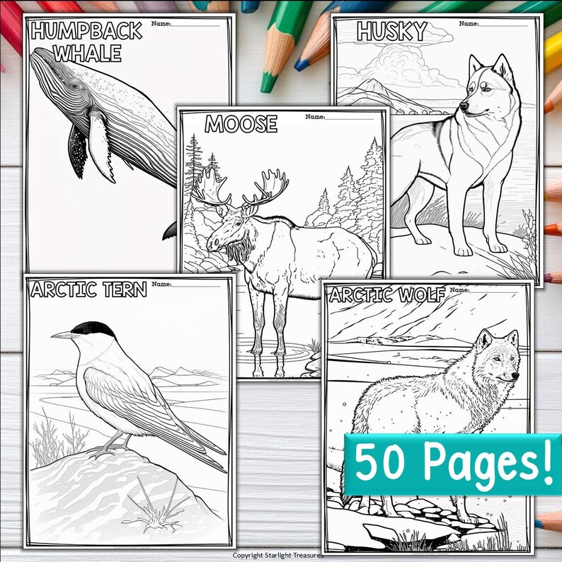 Arctic Animals Research Posters, Coloring Pages - Animal Research ...