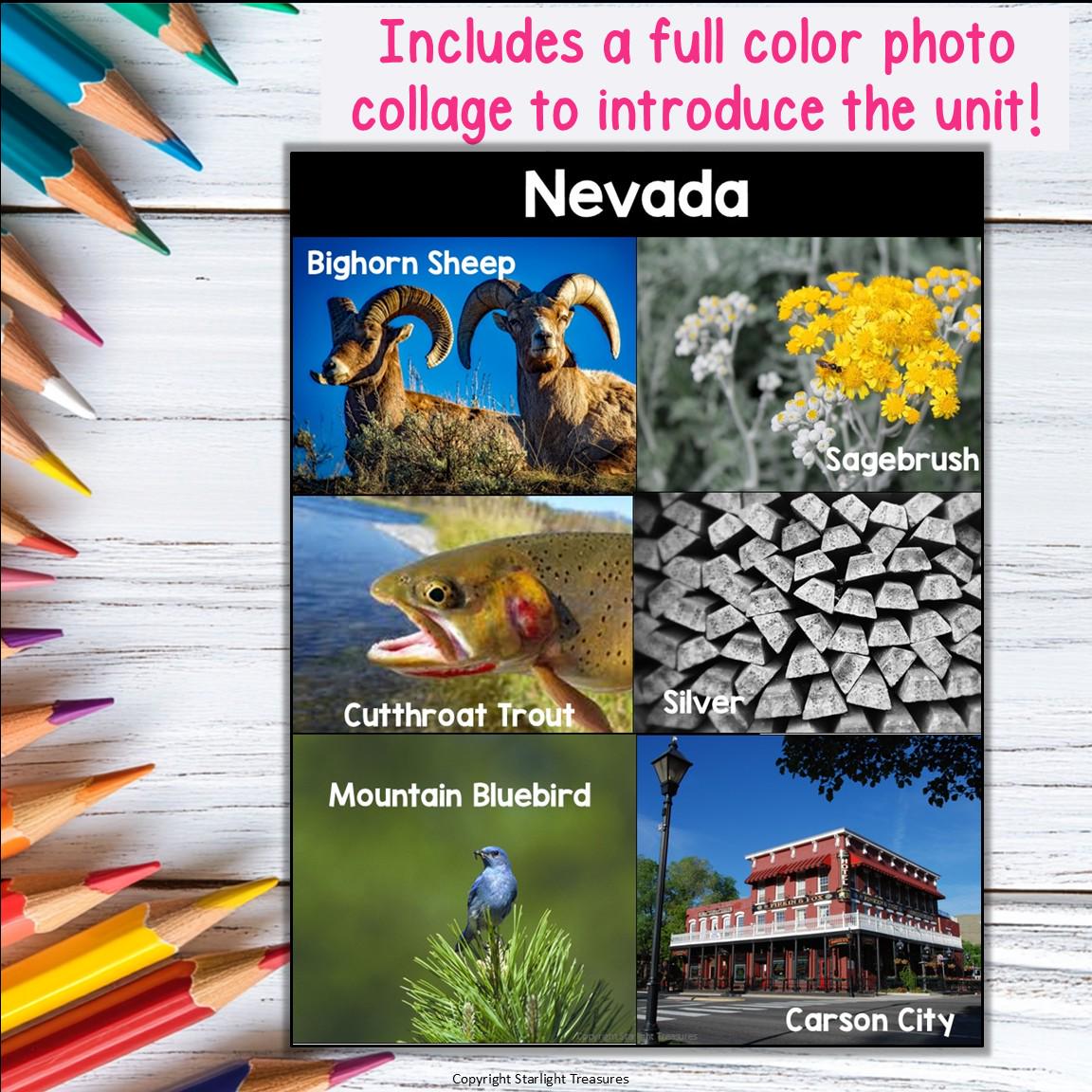 Nevada Mini Book for Early Readers - A State Study - Etsy