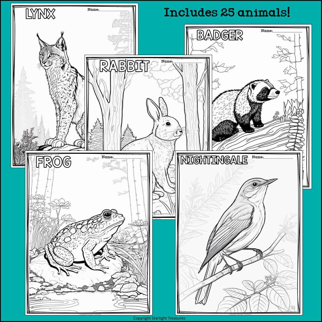Woodland Animals Research Posters, Coloring Pages Animal Research ...